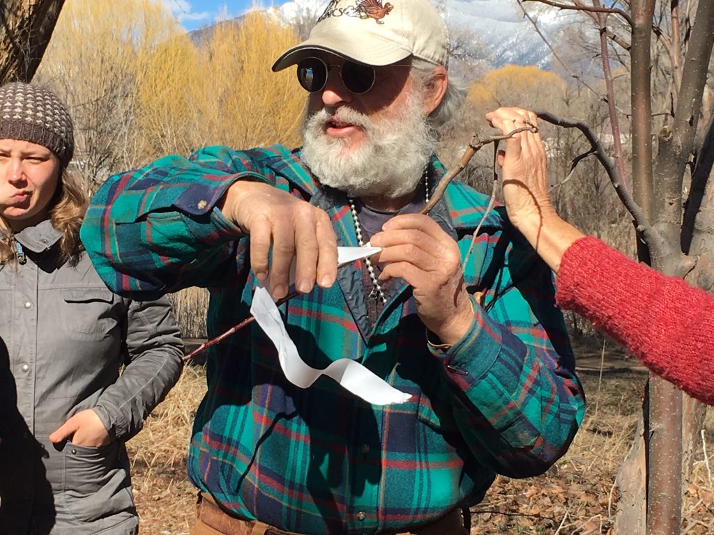 WORKSHOP! Fruit Tree Grafting and Orchard Care – Taos Land Trust