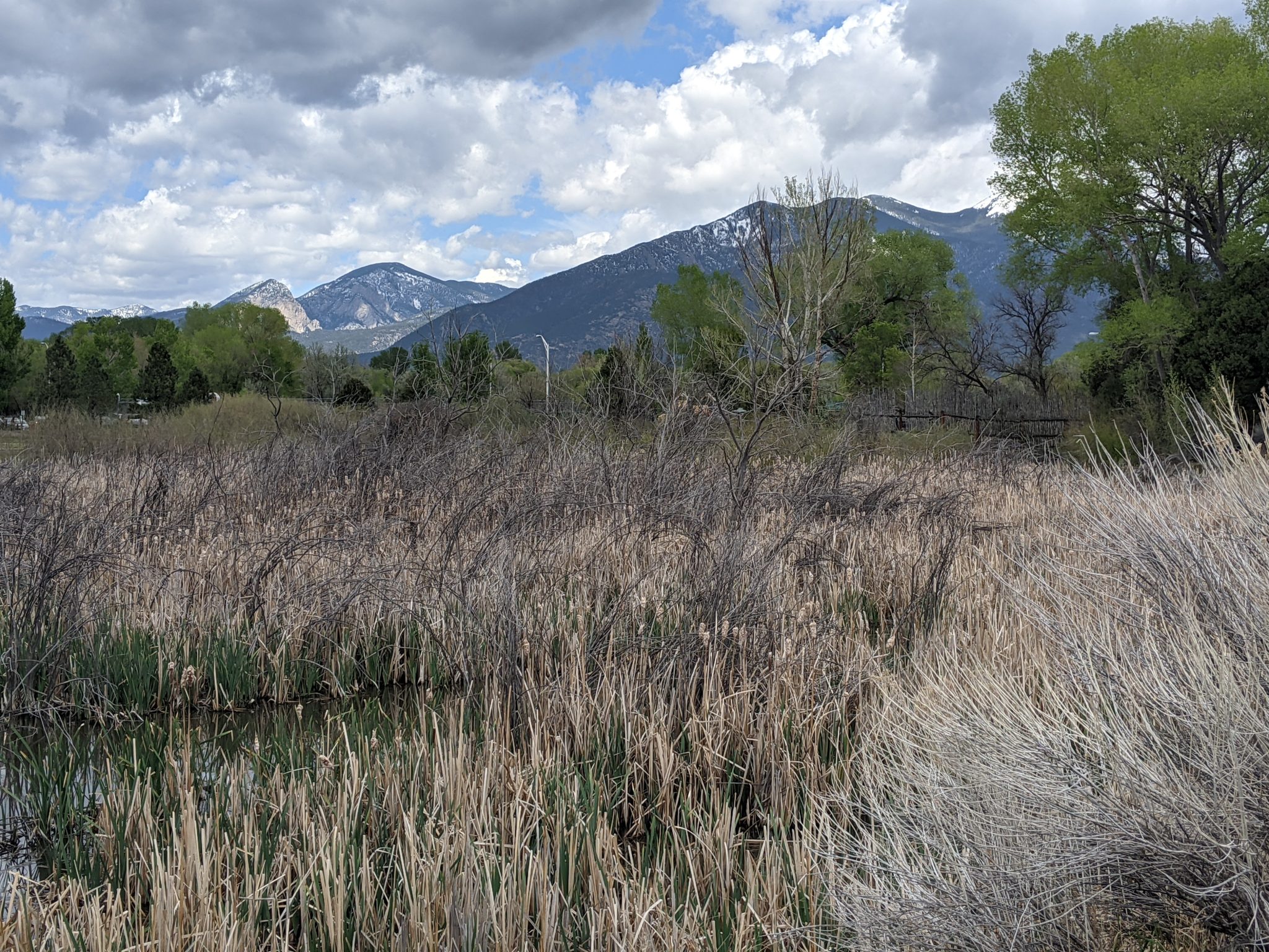 Rio Fernando Park – Taos Land Trust